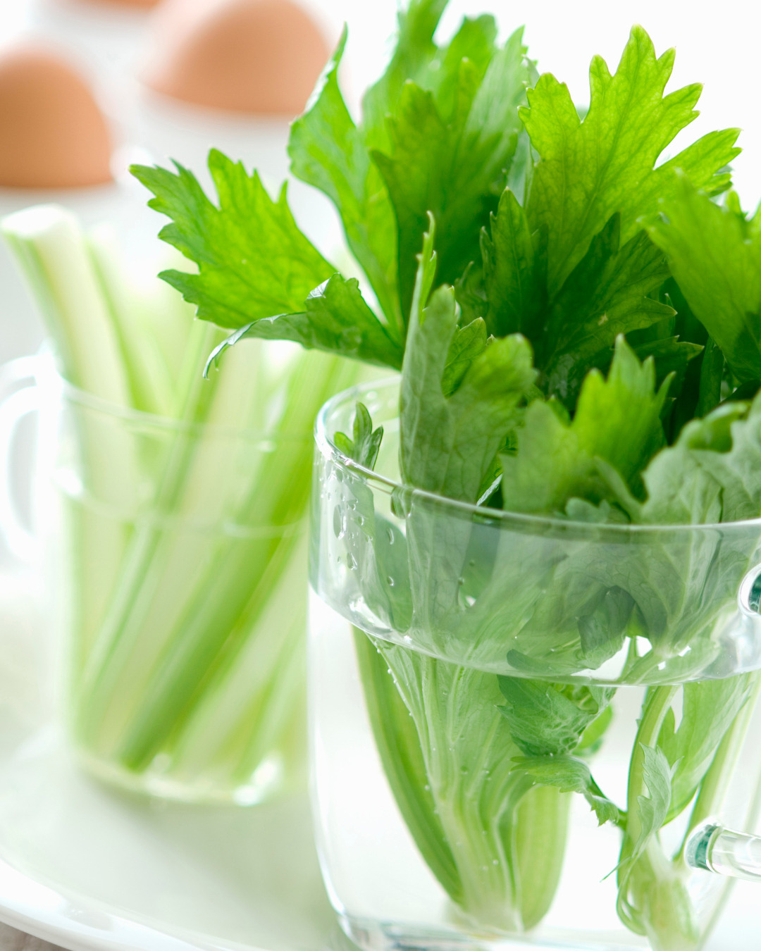 How to Make Your Perishables Last - Women of Today