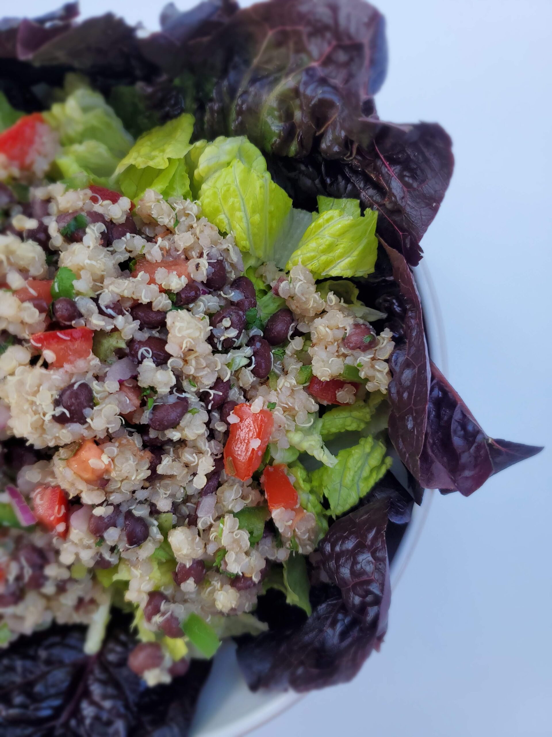 Vegan Quinoa Bowl with Chile Cilantro Sauce - Women of Today
