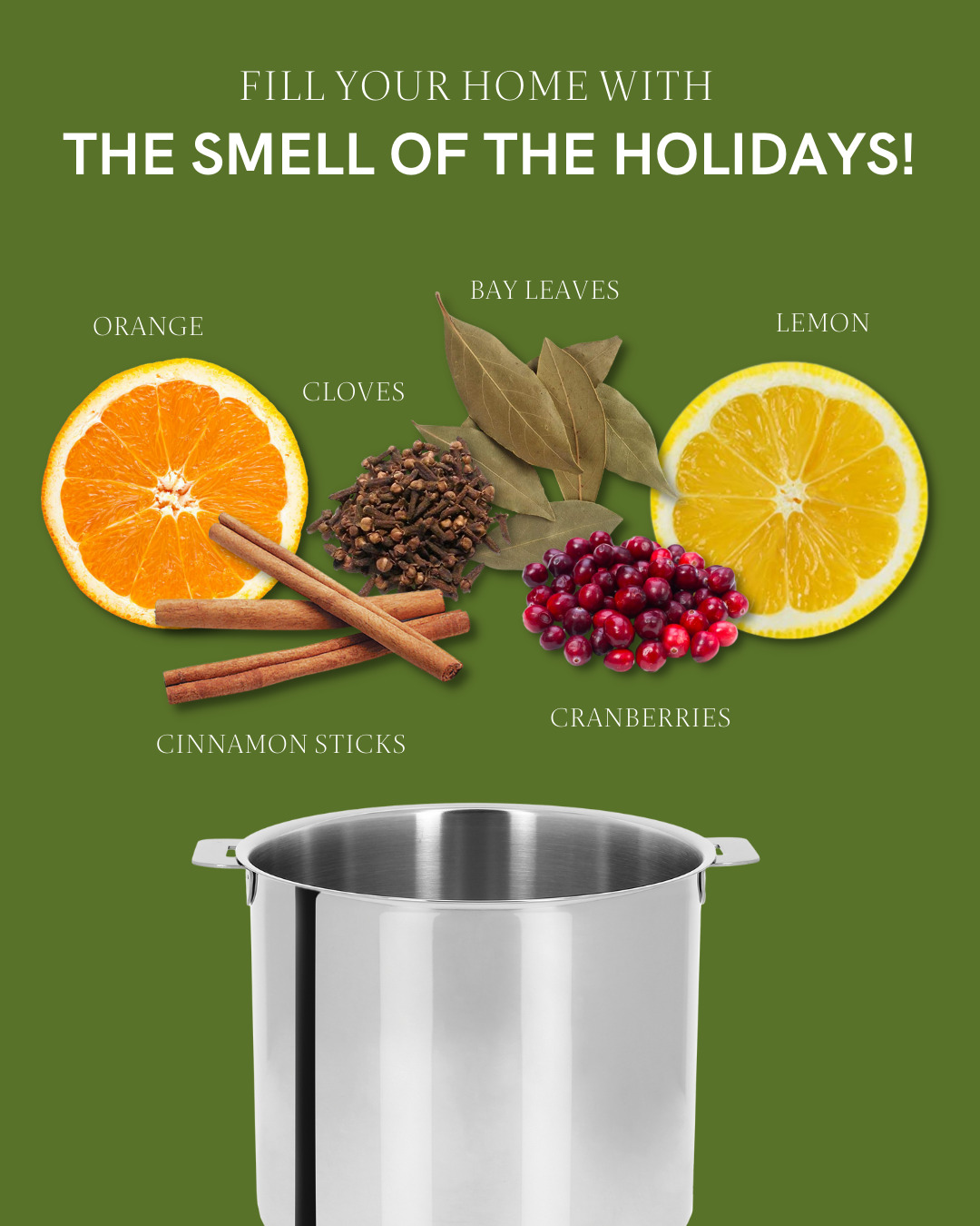 Homemade Christmas Stovetop Potpourri - Women of Today