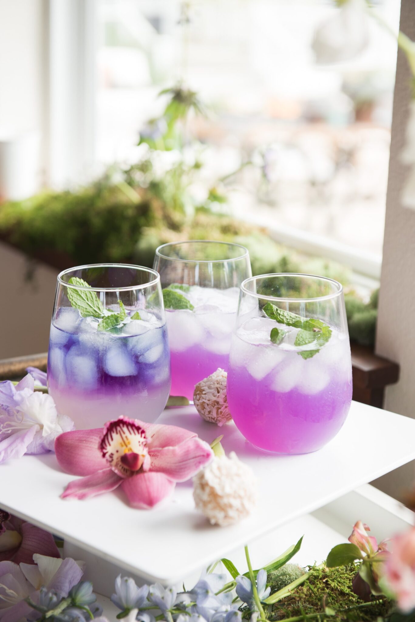 9 Must Make Summer Cocktails - Women of Today