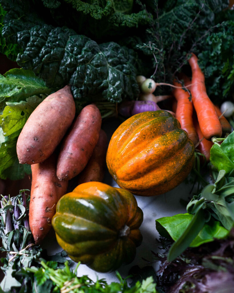 10 Best Vegetables To Grow This Fall - Women of Today