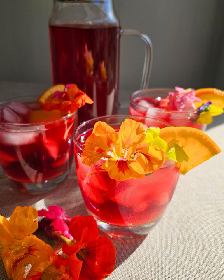 Hibiscus Tea Mocktail - Women of Today
