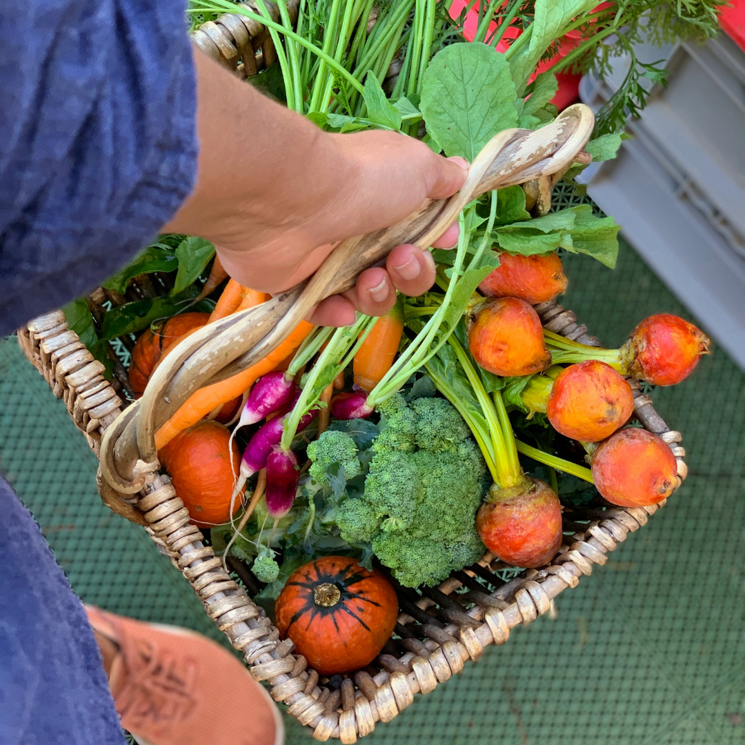 10 Best Vegetables to Grow in Spring - Women of Today