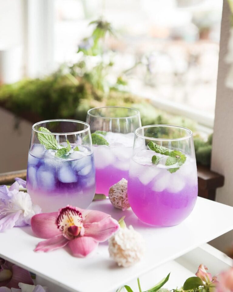 5 Light + Hydrating Mocktails You’ll Love - Women of Today